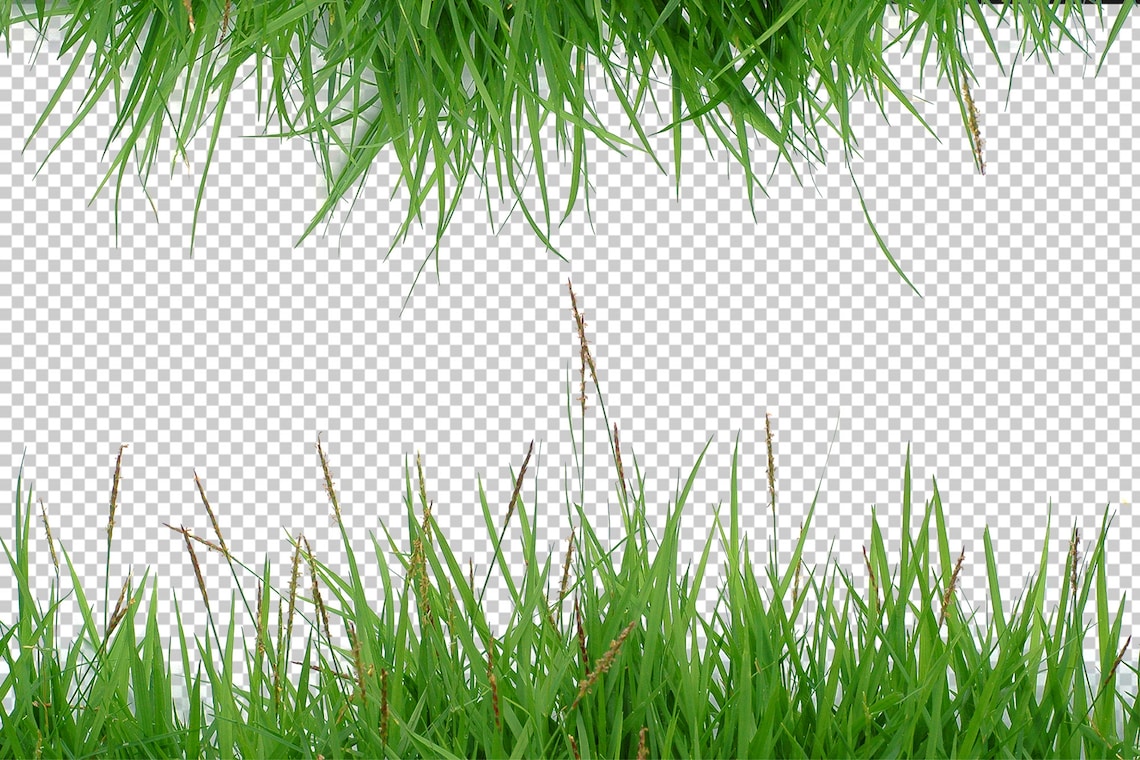 50 Grass Photo Overlays Photoshop Overlay Photo Prop Green | Etsy