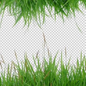 50 Grass Photo Overlays, Photoshop Overlay, Photo Prop, Green Grass ...