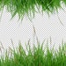 50 Grass Photo Overlays, Photoshop Overlay, Photo Prop, Green Grass ...