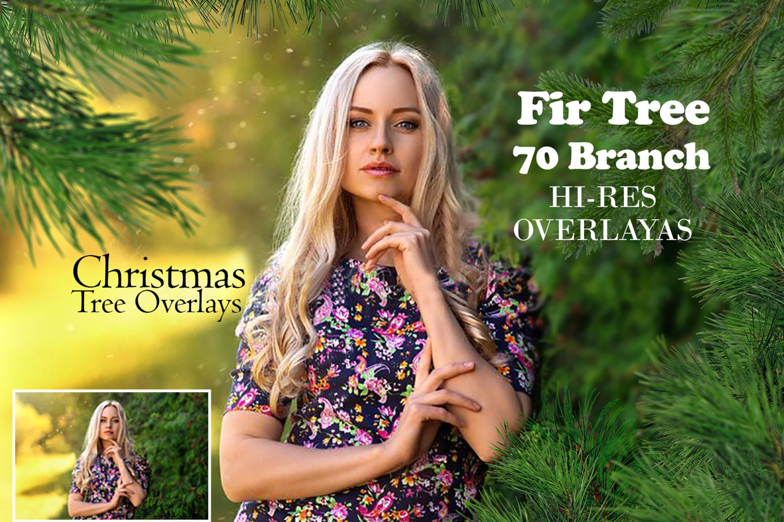 70 Fir Tree Branches Photo Overlays Branches Clipart - Etsy