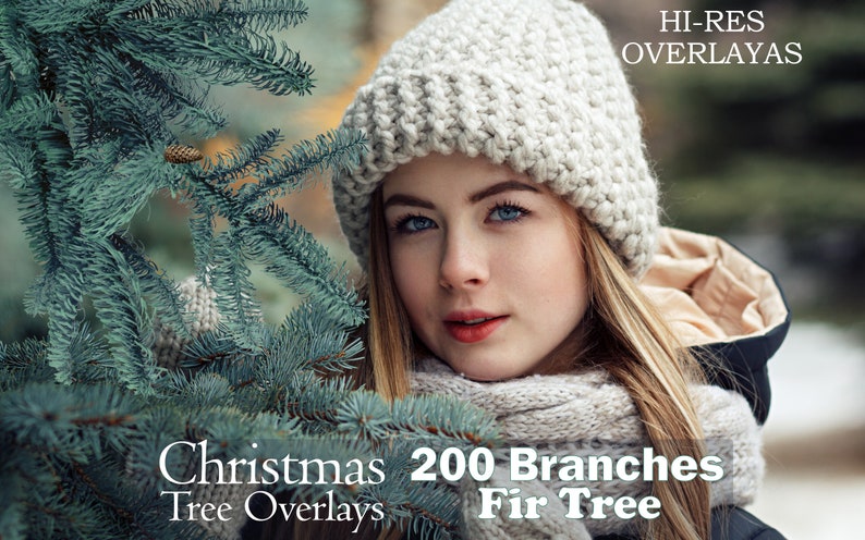 200 Fir Tree Branches Photo Overlays Branches Clipart | Etsy