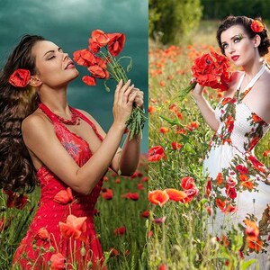 120 Wild Poppies Photo Overlays for Photoshop, Shooting Through the ...