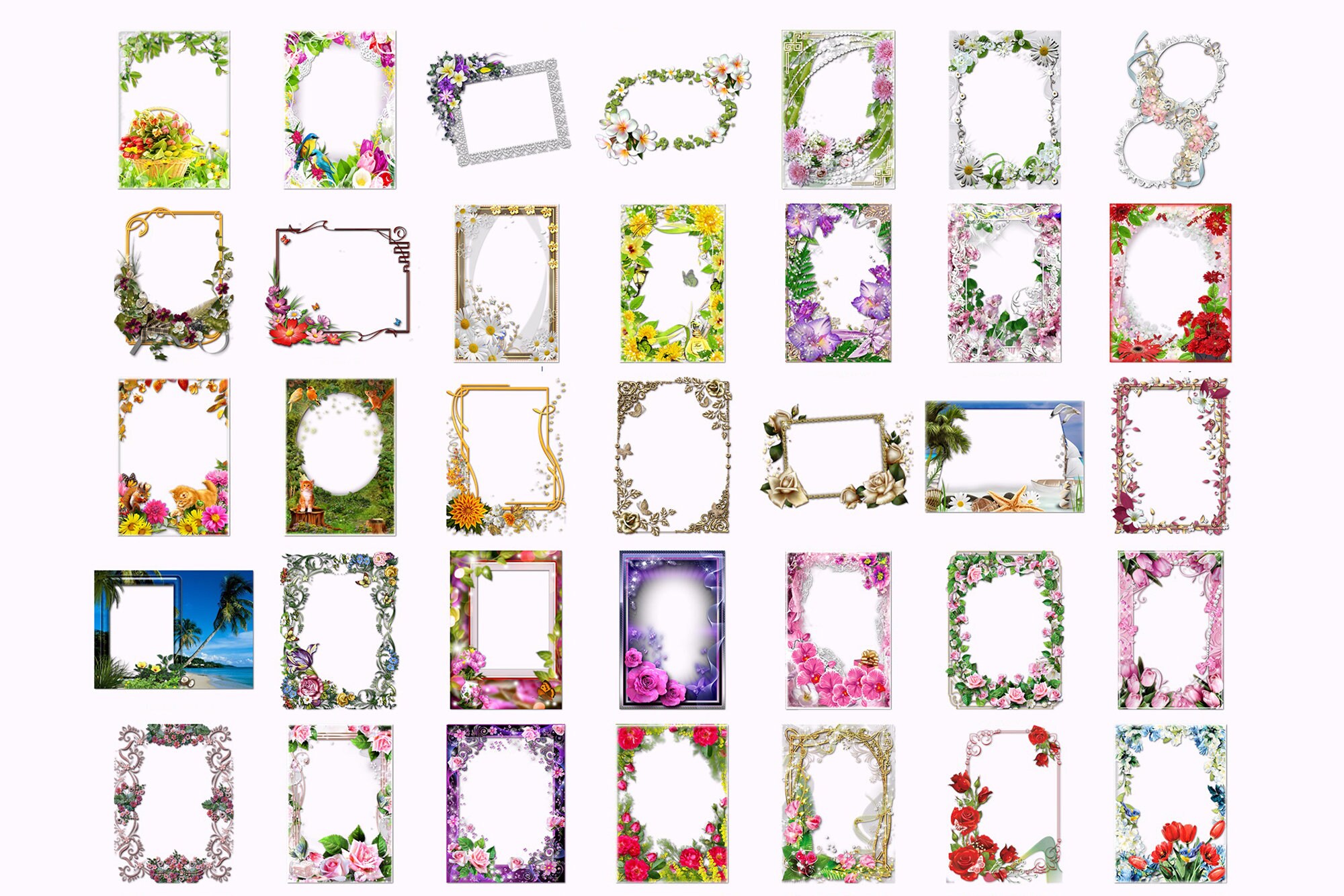 65 Flower Frames spring flowering summer flowers roses | Etsy