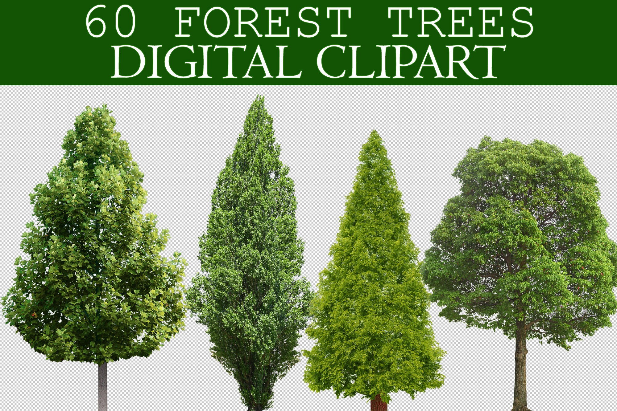 120 Forest Tress Clipart, Digital Tree Cut Out, Green Tree Photoshop ...