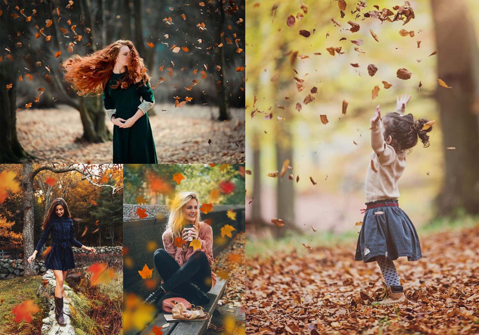 Autumn Leaves Overlays Falling Leaves Fall Leaves Autumn | Etsy