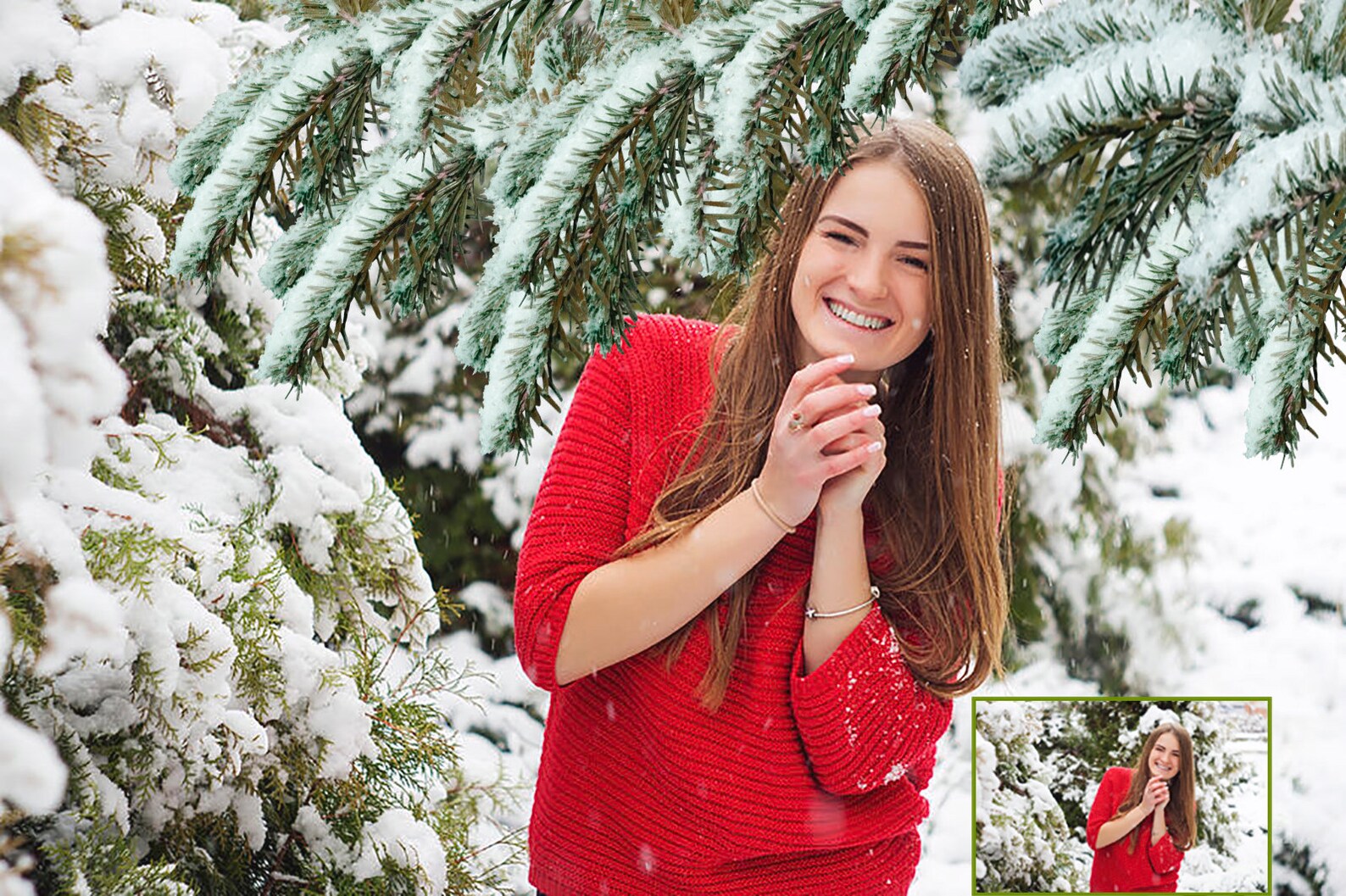 200 Fir Tree Branches Photo Overlays Branches Clipart | Etsy