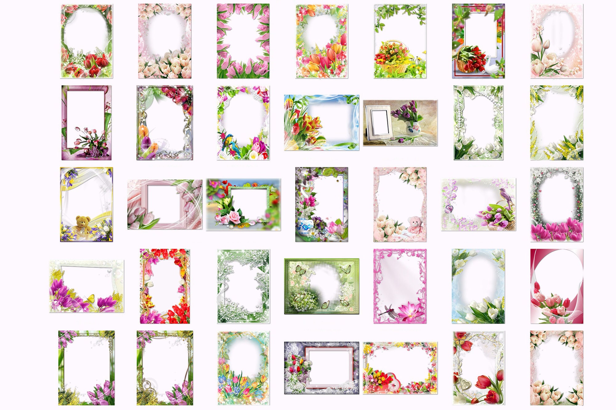 80 Spring Flower Frames Spring Flowering Yellow Tulips Red - Etsy