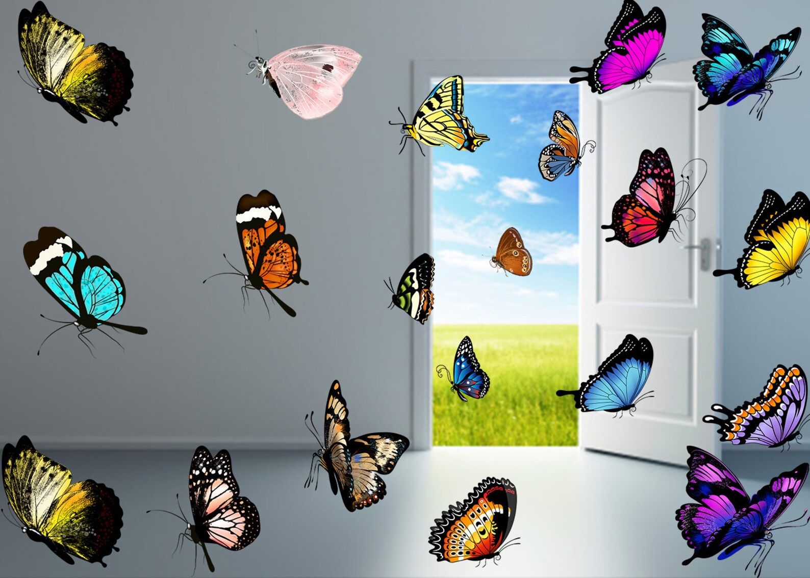 150 Butterflies Photo Overlays, Butterfly Overlays for Photoshop, Photo ...