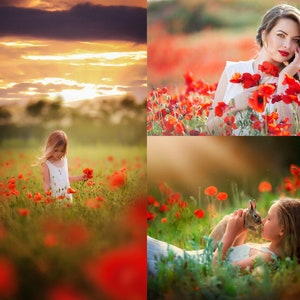 120 Wild Poppies Photo Overlays for Photoshop, Shooting Through the ...