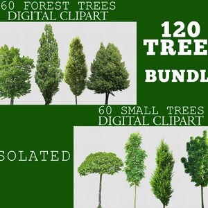 120 Forest Tress Clipart Digital Tree Cut Out Green Tree | Etsy