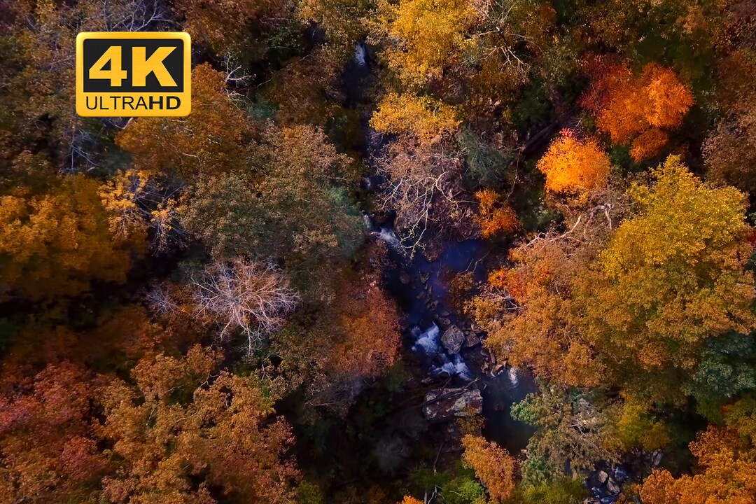 Autumn Foliage Along the River, 4K Stock Video Footage, Colorful Nature ...