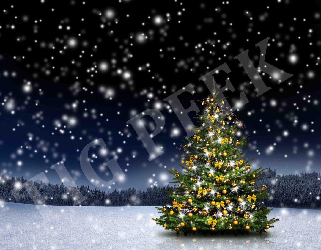 2 Christmas Tree Digital Backdrop, Tree Digital Background, Winter ...