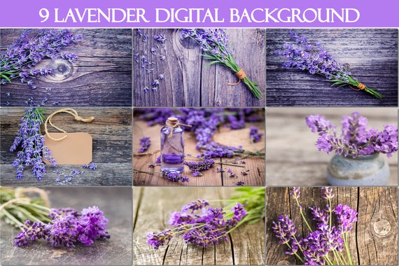 9 Lavender Fields Backdrop Photoshop Overlay Digital | Etsy
