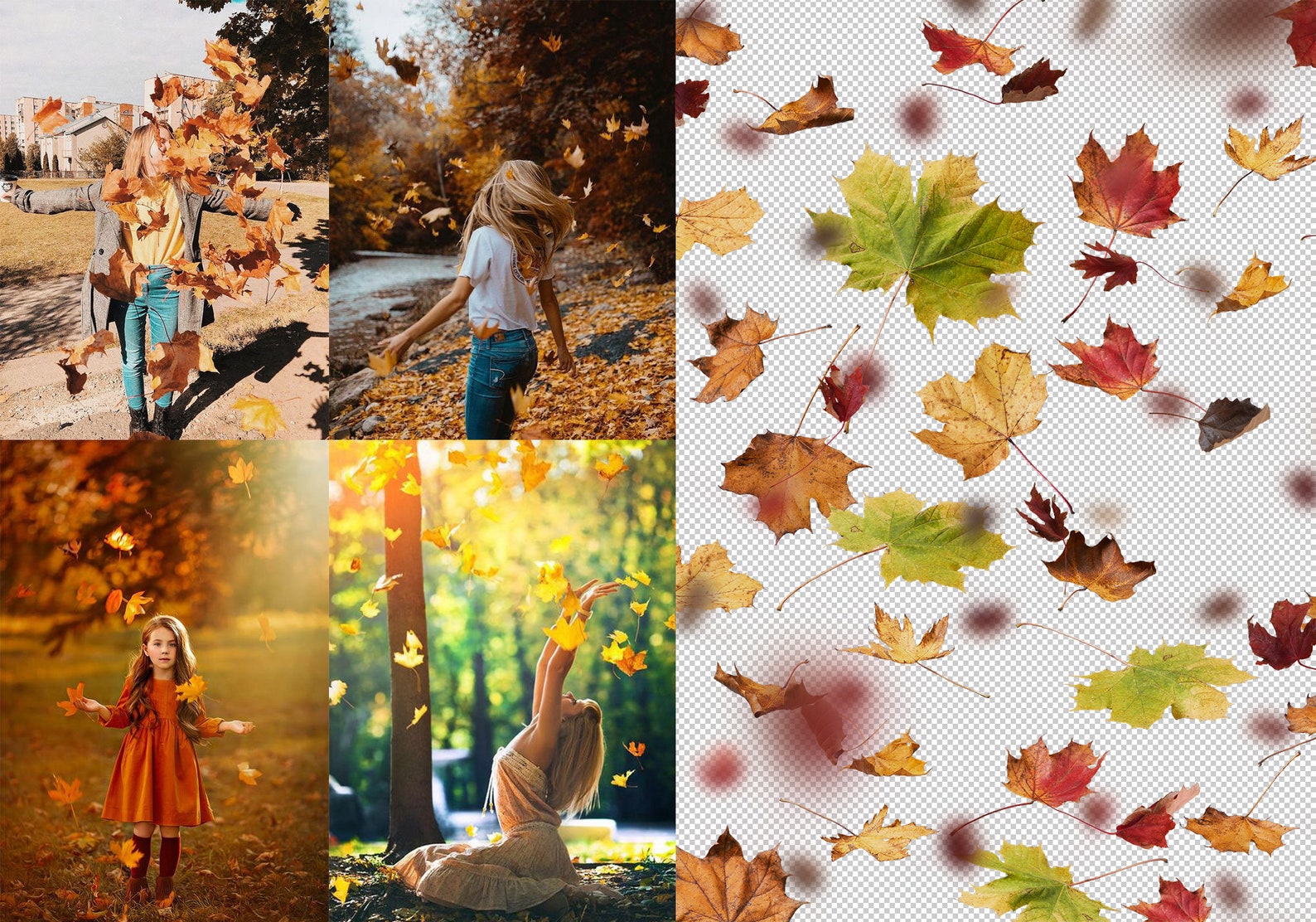 Autumn Leaves Overlays Falling Leaves Fall Leaves Autumn | Etsy