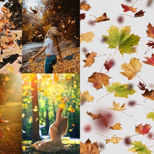 Autumn Leaves Overlays, Falling Leaves, Fall Leaves, Autumn Leaf ...