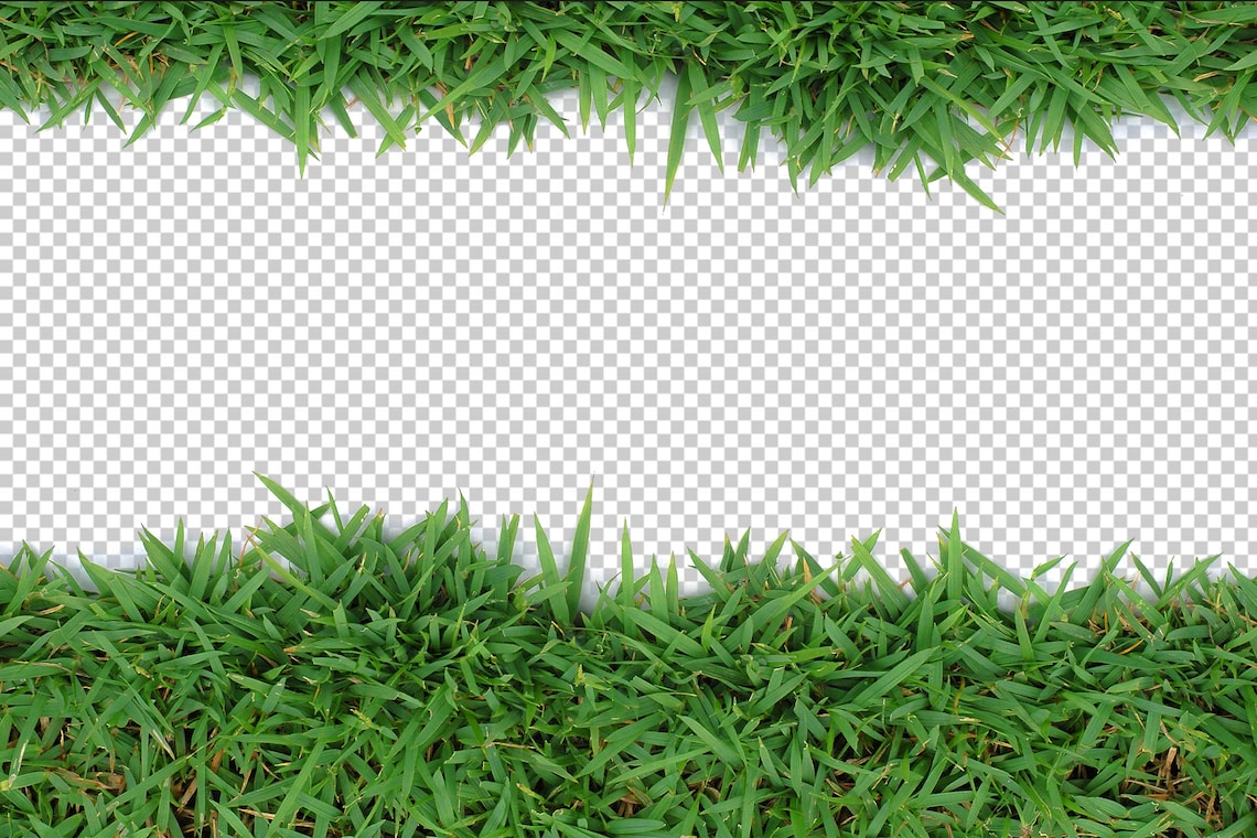 50 Grass Photo Overlays photoshop overlay photo prop green | Etsy