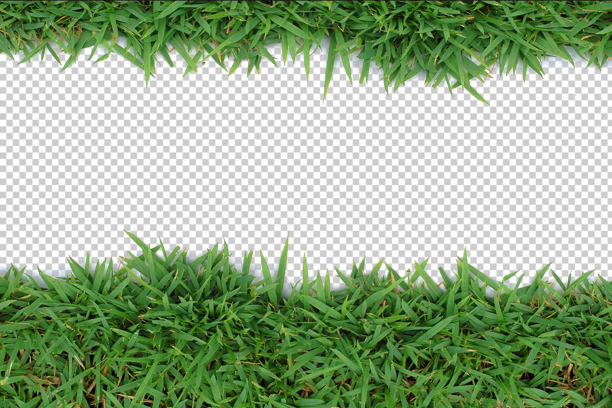 50 Grass Photo Overlays Photoshop Overlay Photo Prop Green | Etsy