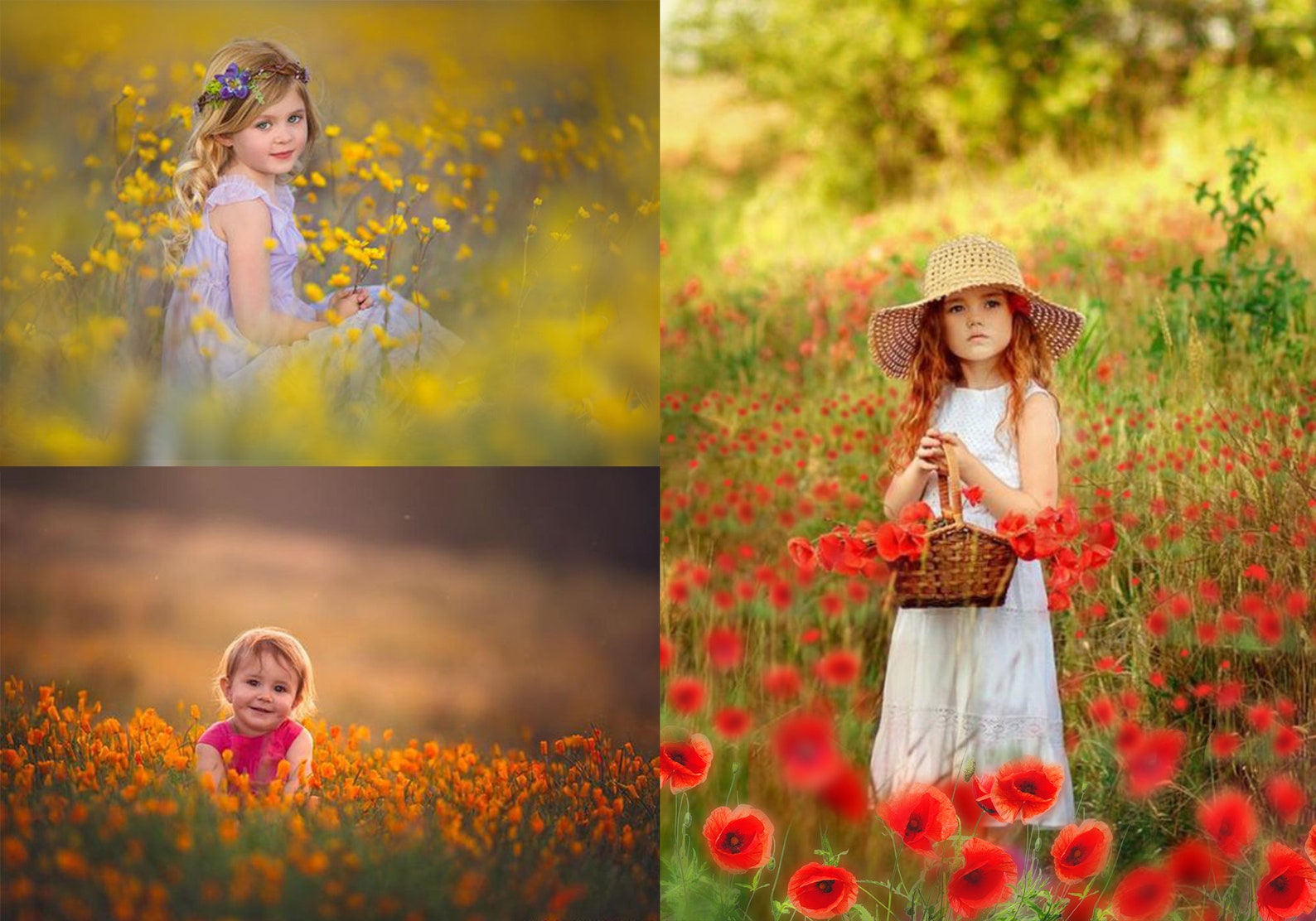 390 Flower Frames Photo Overlays Summer Overlays Blurred - Etsy