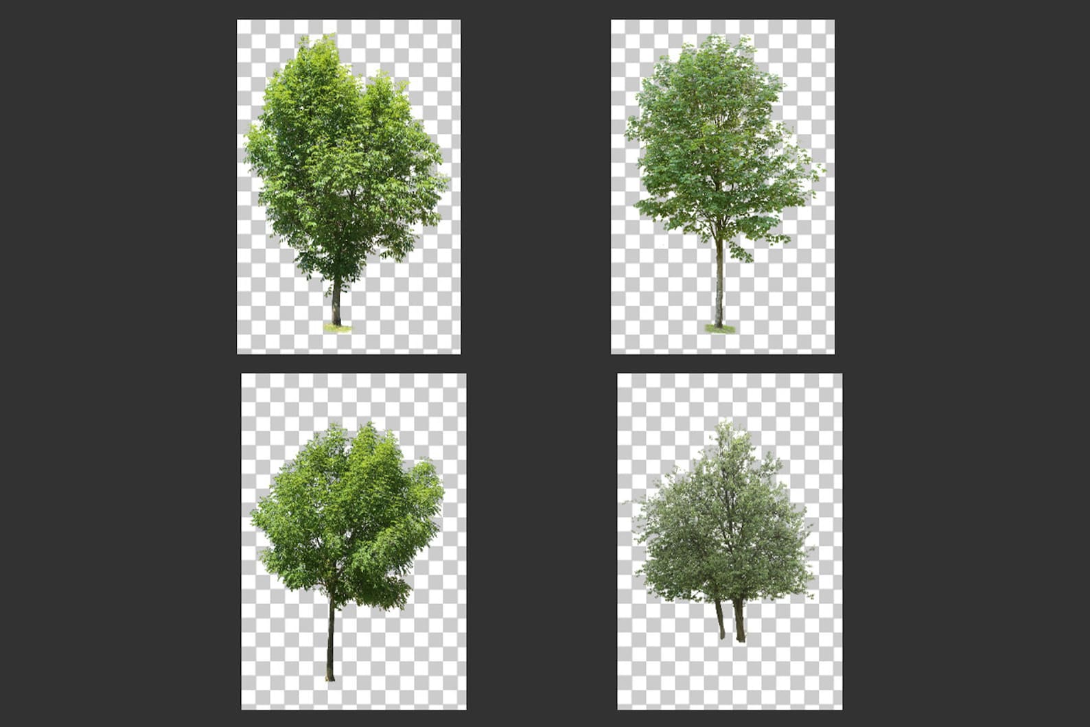 120 Forest Tress Clipart Digital Tree Cut Out Green Tree | Etsy