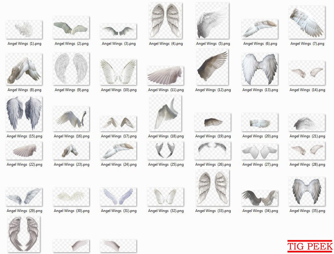37 Angel Wings Overlays Transparent Digital Wings Overlays - Etsy