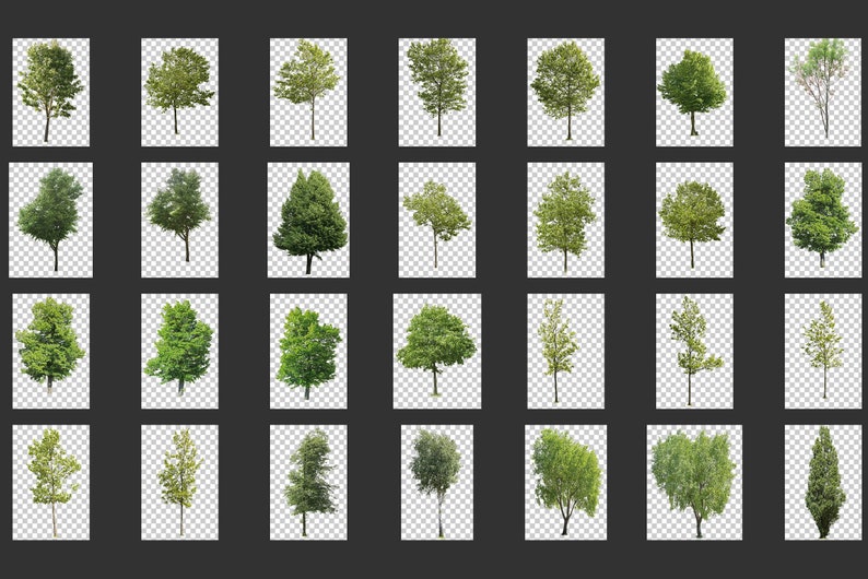 120 Forest Tress Clipart Digital Tree Cut Out Green Tree | Etsy