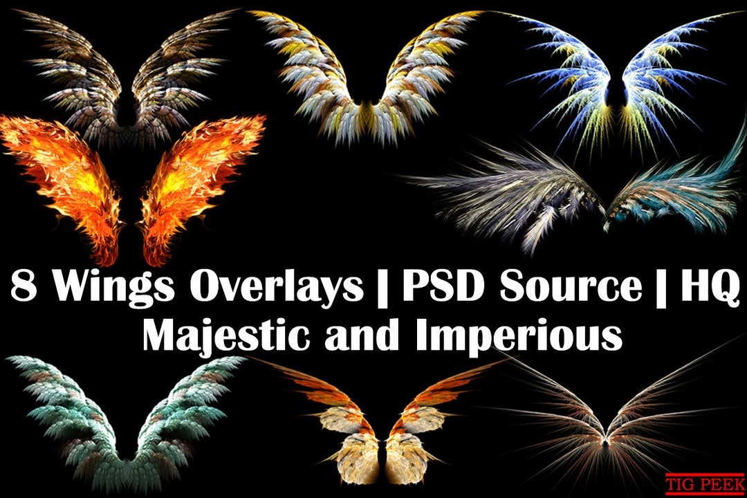 8 Wings Overlay Transparent, Wings Digital Overlays, Magic Fairy Wight ...