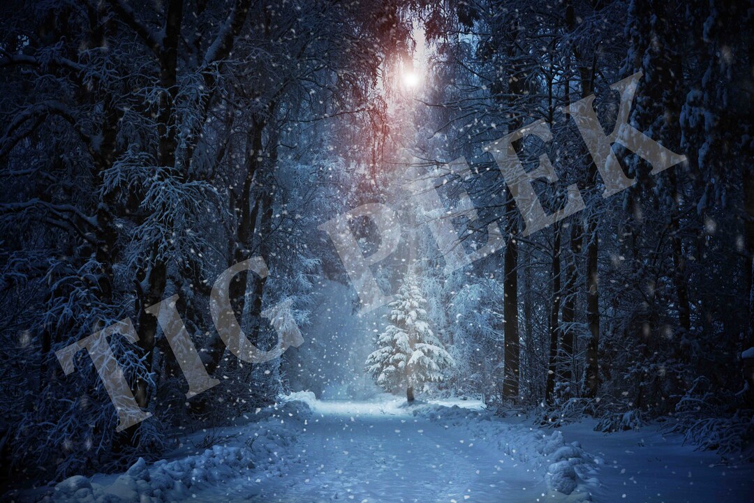 Christmas Tree Digital Backdrop, Tree Digital Background, Winter ...