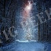 Christmas Tree Digital Backdrop, Tree Digital Background, Winter ...