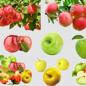 50 Apple Overlays, Red Apples, Green Apples, Apple Branch Photoshop ...