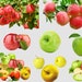 50 Apple Overlays, Red Apples, Green Apples, Apple Branch Photoshop ...