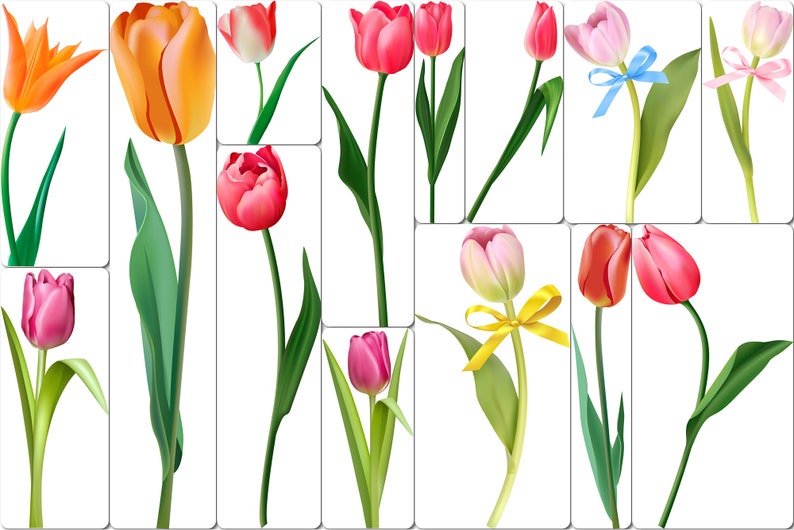 25 Digital Tulips Clipart Spring Flower Clip Art Floral - Etsy