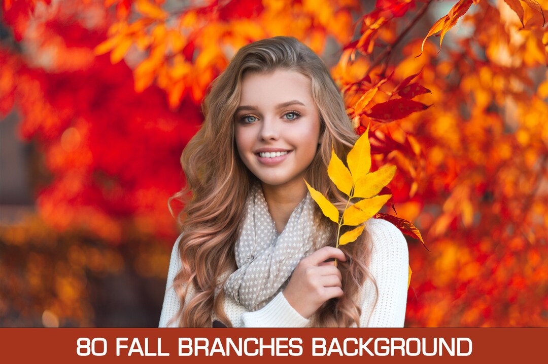 80 Fall Branches Backgrounds, Autumn Tree Branch Photo Overlays, Autumn ...