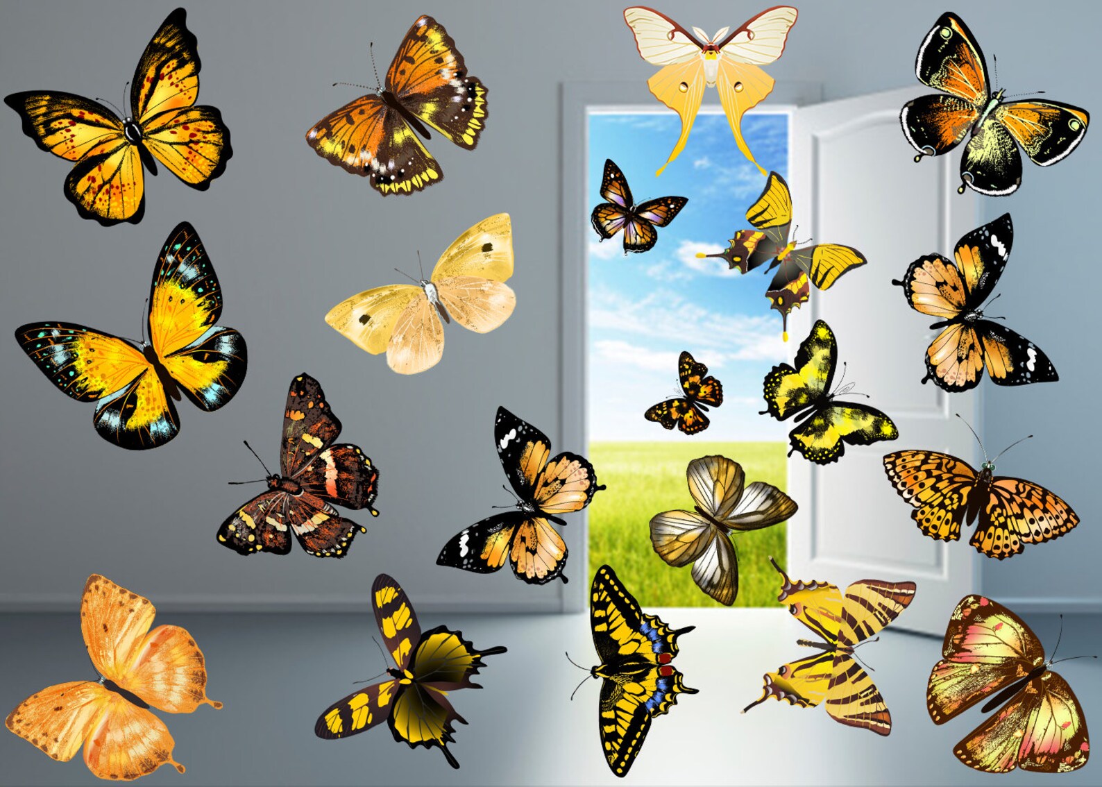 150 Butterflies Photo Overlays, Butterfly Overlays for Photoshop, Photo ...