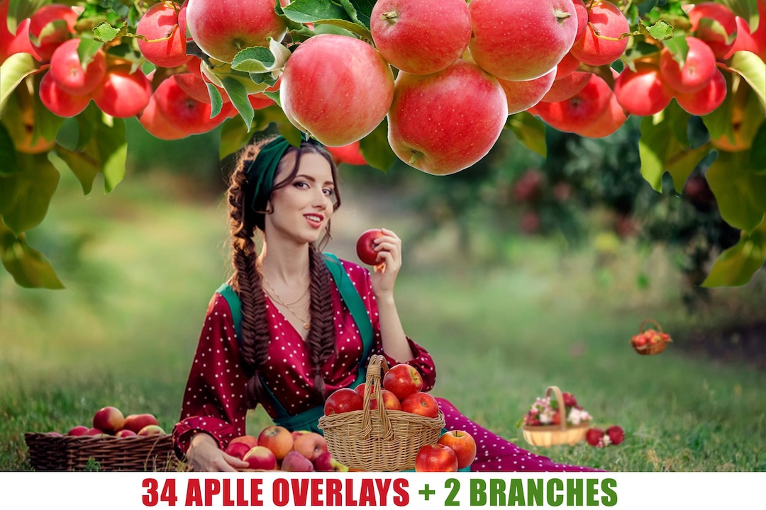 50 Apple Overlays, Red Apples, Green Apples, Apple Branch Photoshop ...