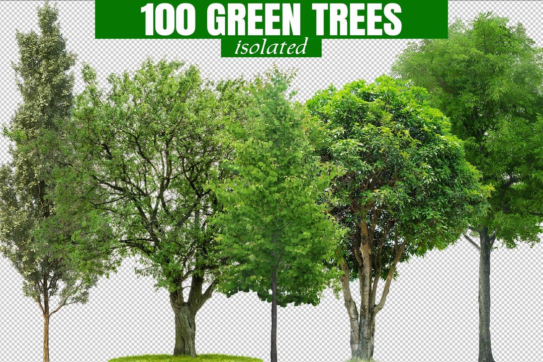 100 Green Trees PNG, Cut Out Tree Trunk, Nature Forest, Photoshop Photo ...
