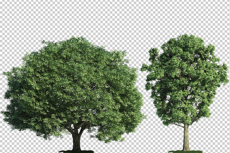 120 Forest Tress Clipart Digital Tree Cut Out Green Tree - Etsy