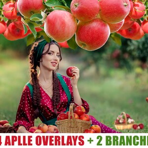 50 Apple Overlays, Red Apples, Green Apples, Apple Branch Photoshop ...