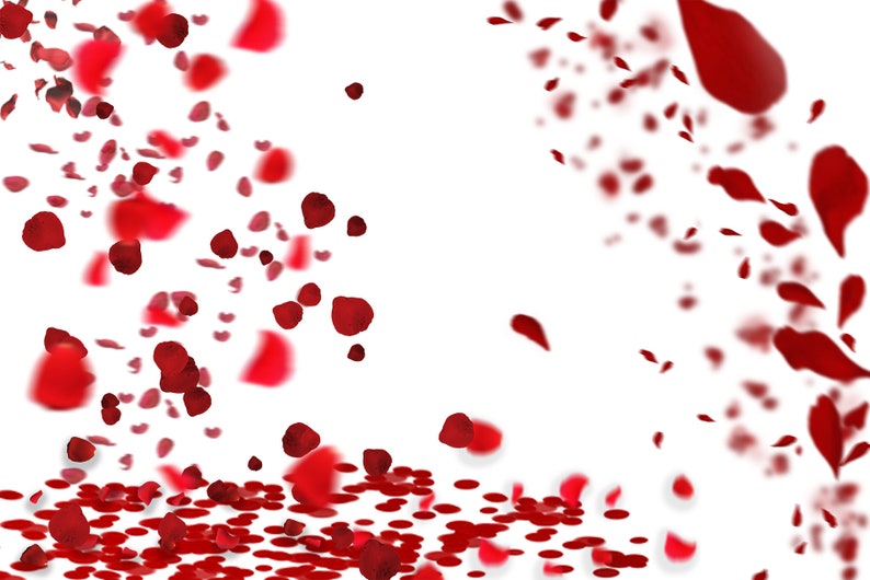 350 RED Rose Petals Overlays for Photoshop, Petals Red Overlay ...