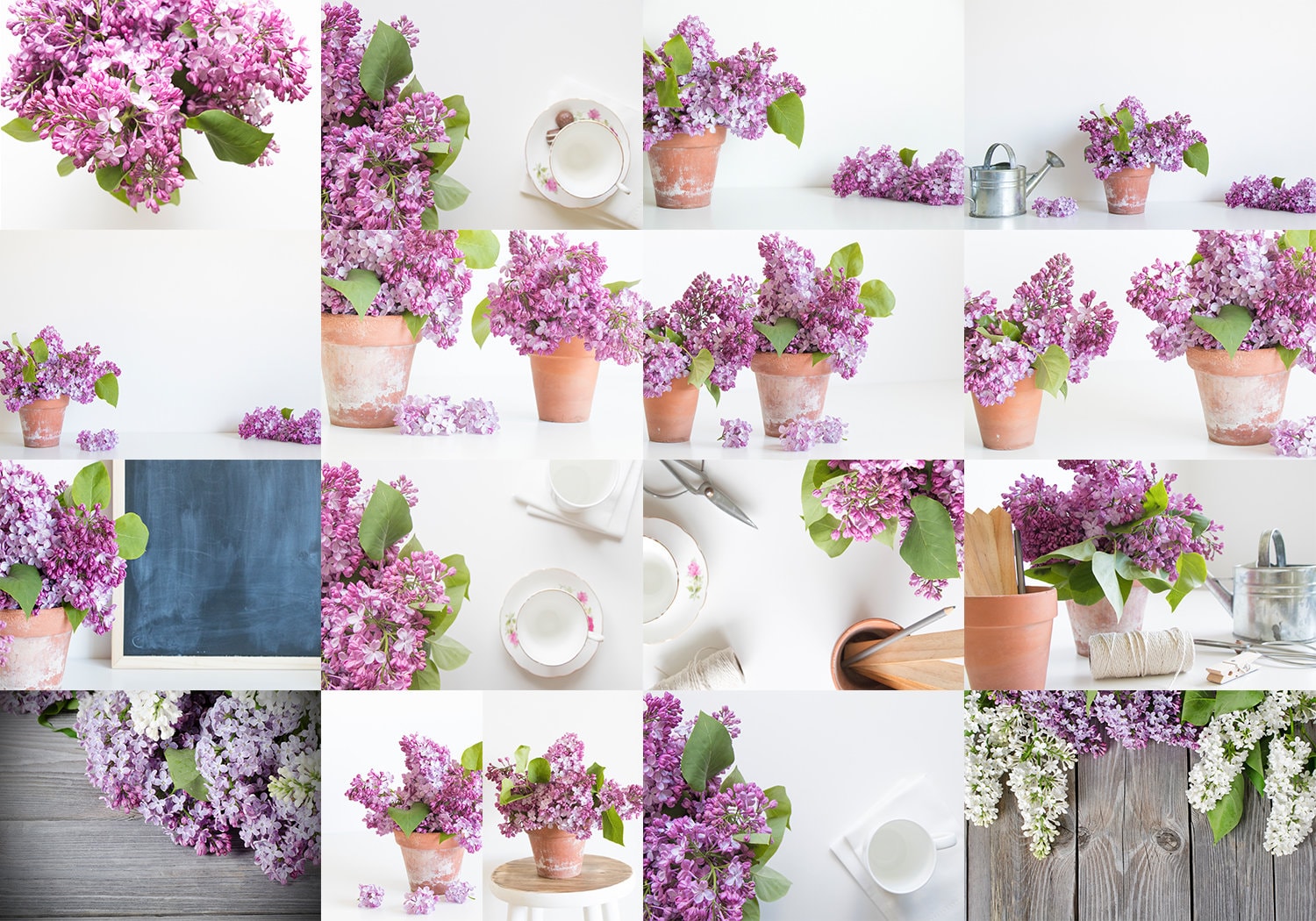 115 Lilac Real Flower Photo Backdrops Lilac Photography | Etsy