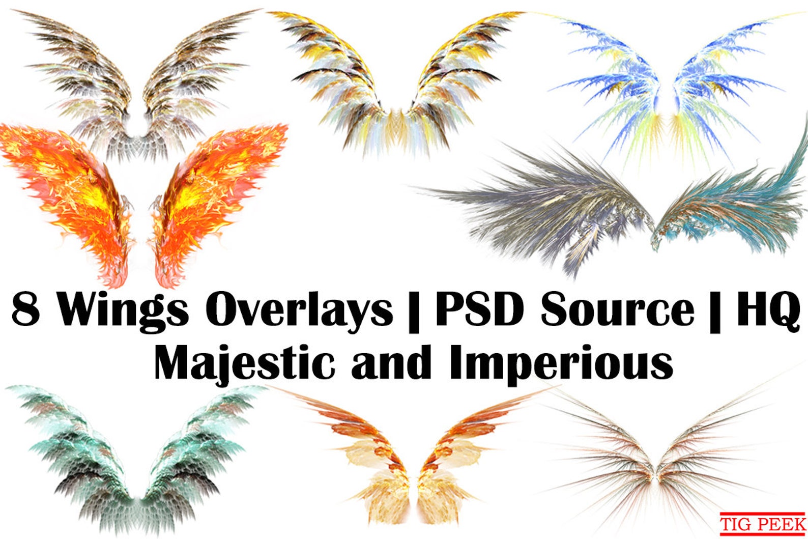 8 Wings Overlay Transparent Wings Digital overlays magic | Etsy