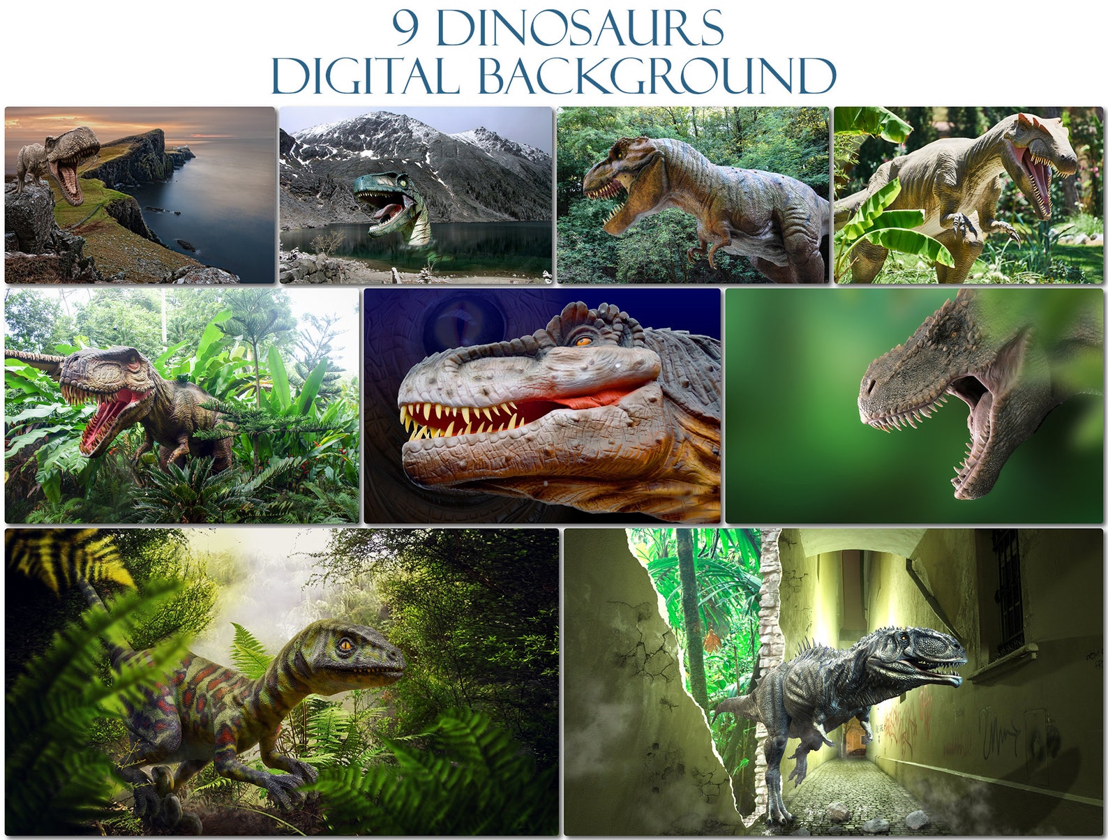 9 Dinosaur Digital Backdrop T-rex Rex Dinosaur Background - Etsy