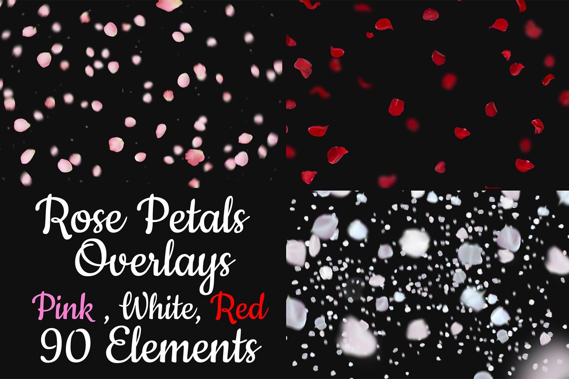 Falling Rose Petals Overlay for Photoshop Petals Red Overlay - Etsy