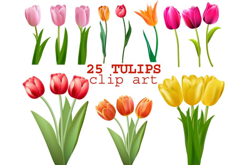 25 Digital Tulips Clipart Spring Flower Clip Art Floral - Etsy