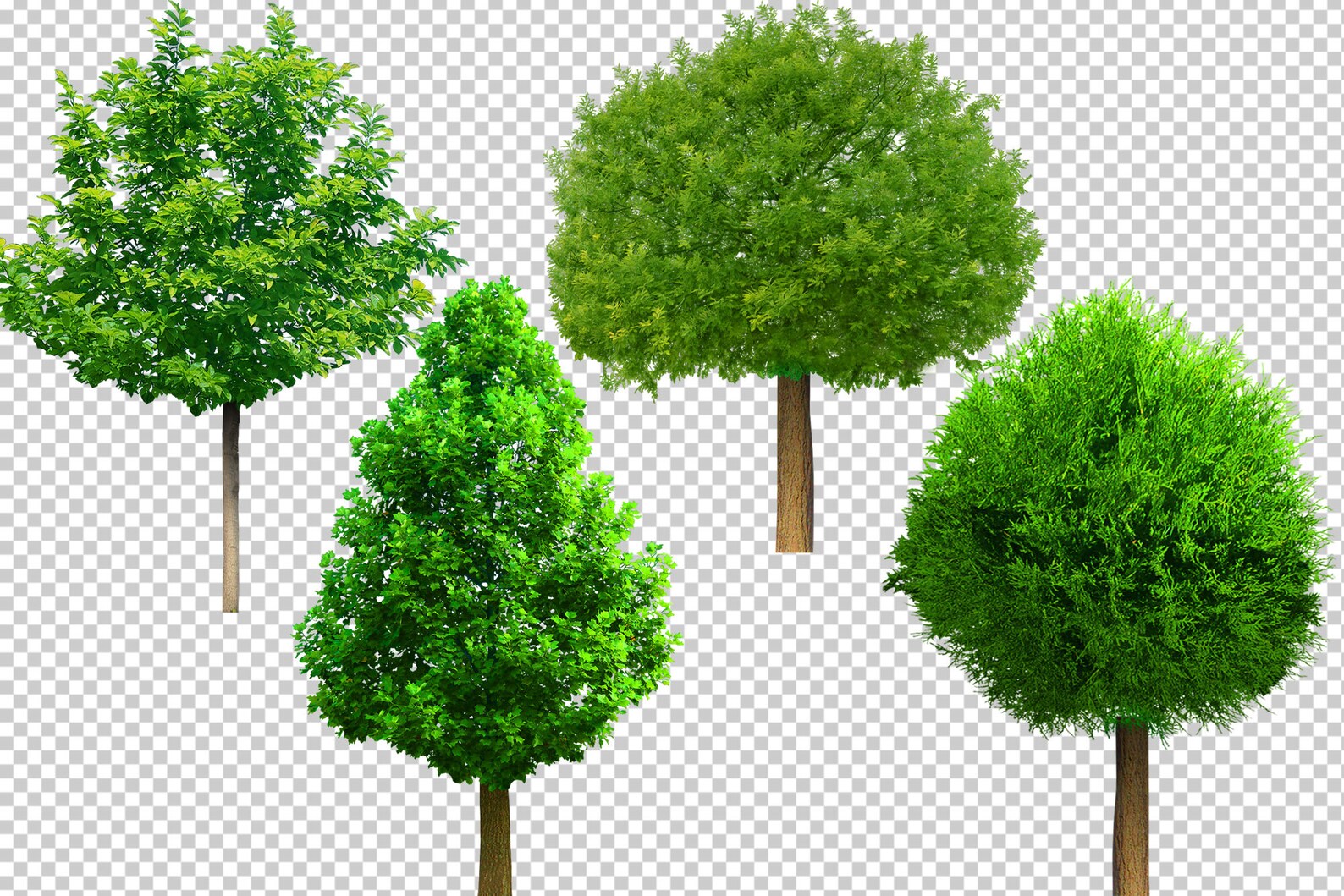 120 Forest Tress Clipart Digital Tree Cut Out Green Tree - Etsy