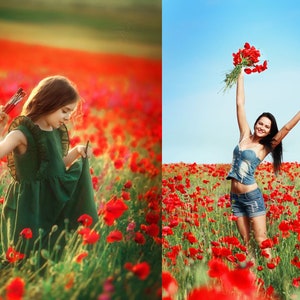 120 Wild Poppies Photo Overlays for Photoshop, Shooting Through the ...