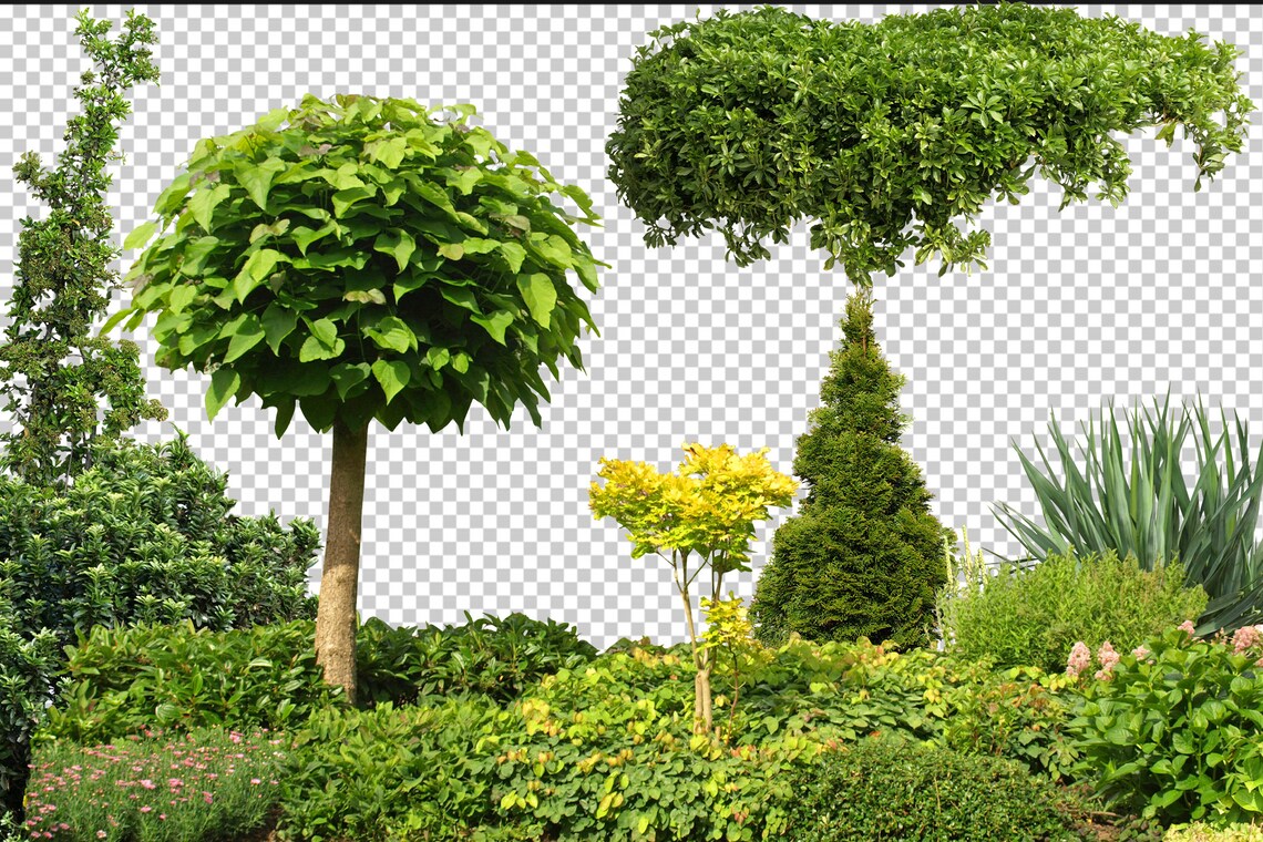 300 Green Plants Overlays Blossom Plants Cutout Botanic Wild | Etsy