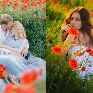 120 Wild Poppies Photo Overlays for Photoshop, Shooting Through the ...