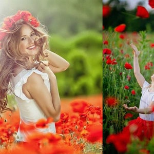 120 Wild Poppies Photo Overlays for Photoshop, Shooting Through the ...