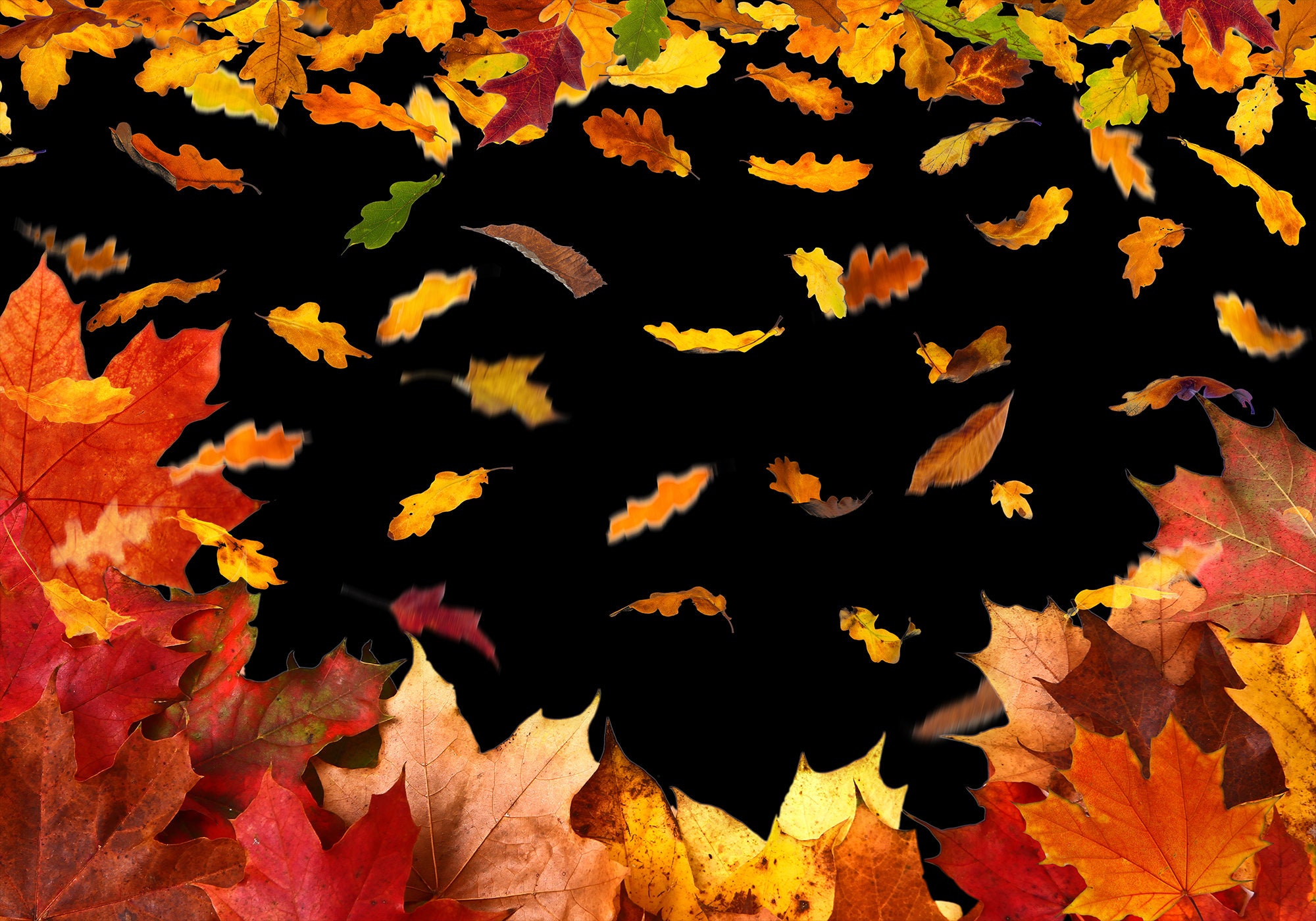 500 Autumn Leaves phtoto overlays Falling Leaves Fall | Etsy