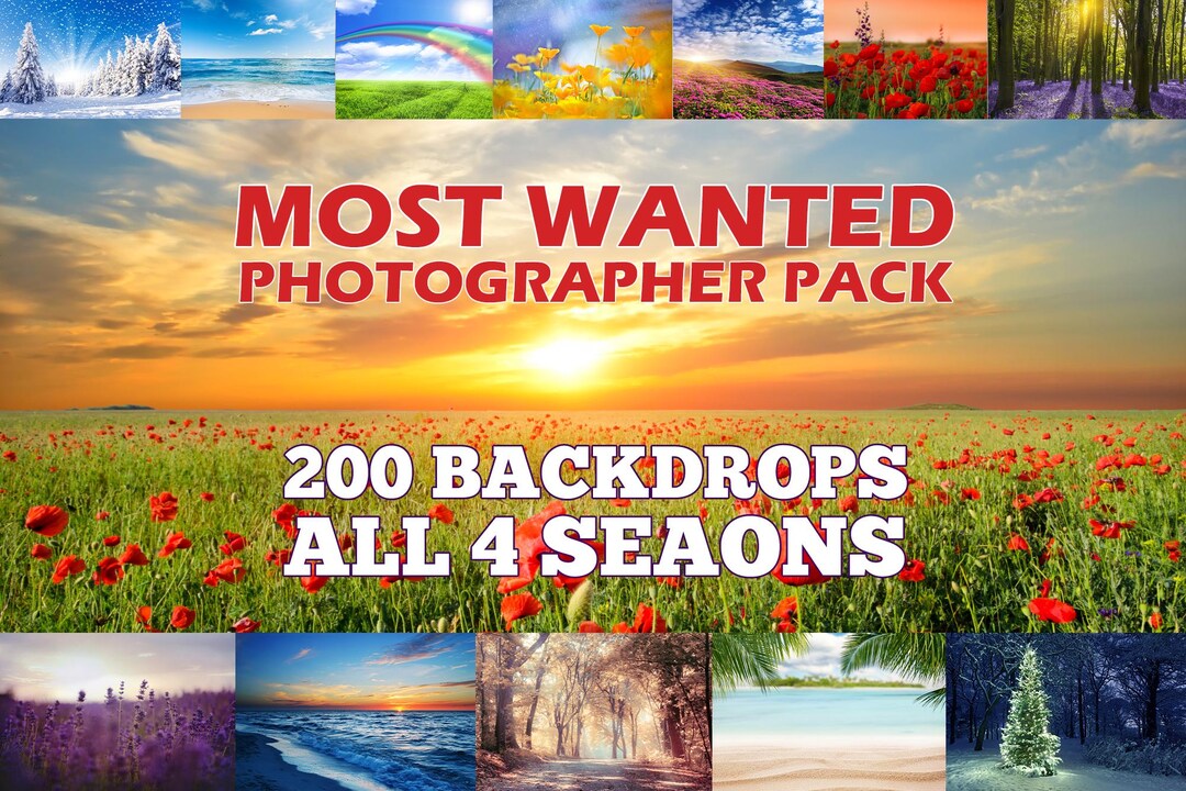 200 Photography Backdrops, All Seasons Bundle, Summer Fields, Autumn ...